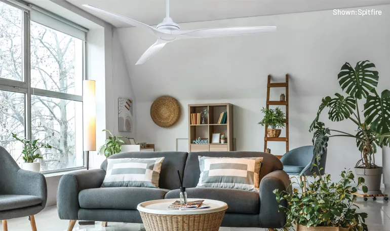 Fanimation Fans, Fanimation Ceiling Fans | 1STOPlighting